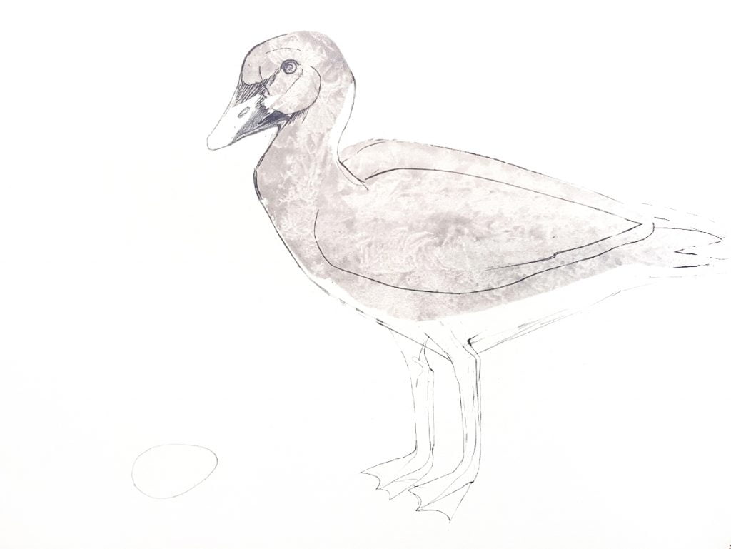 Aesop's Fables: The Goose With The Golden Egg - Hornseys Gallery ...