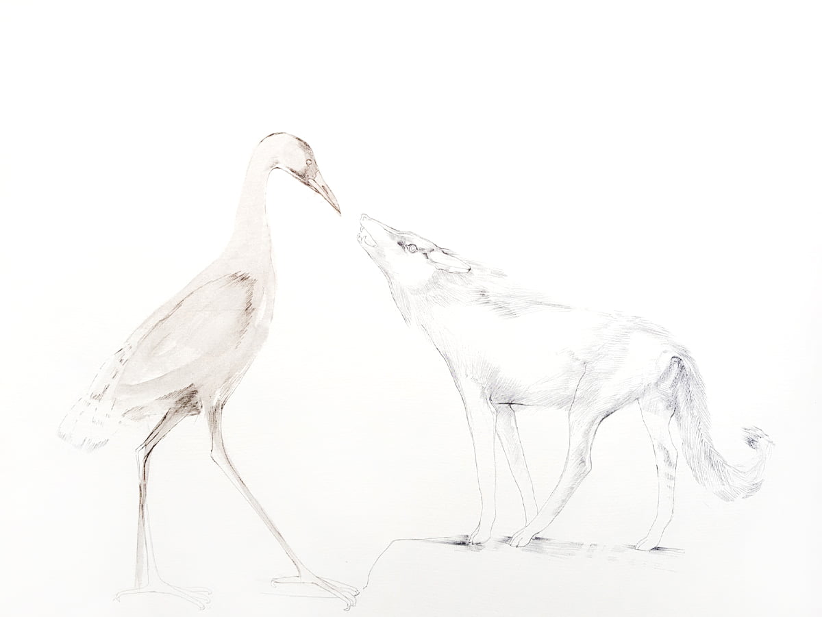 Aesop's Fables: The Wolf And The Crane. - Hornseys Gallery - Ripon ...