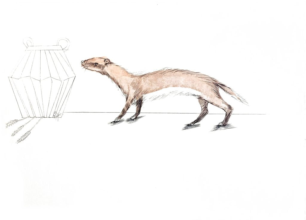 Aesop's Fables: The Mouse And The Weasel - Hornseys Gallery - Ripon ...